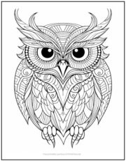 Zentangle Owl Coloring Page | Print it Free