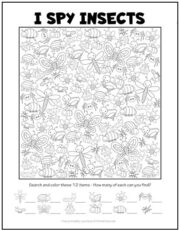 I Spy Insects Picture Activity | Print it Free