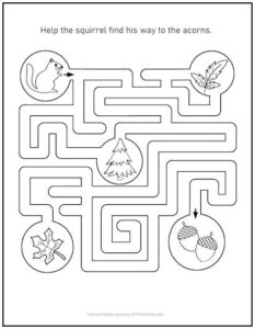Squirrel Seeking Acorns Maze | Print it Free