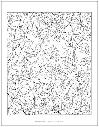 Flowers and Vines Coloring Page | Print it Free